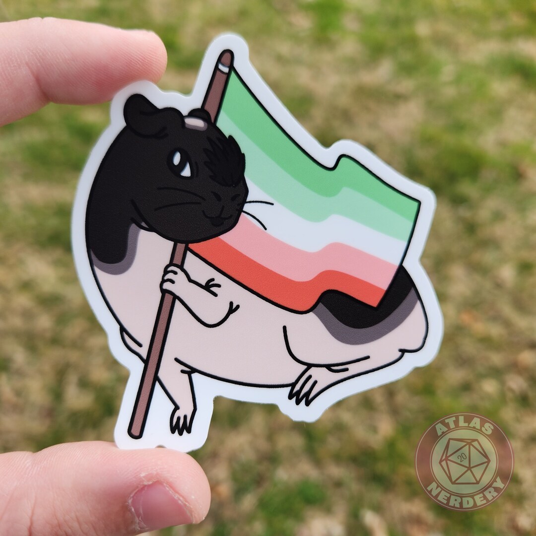 Abrosexual Guinea Pig Pride Flag 3 Waterproof Vinyl Sticker - Etsy