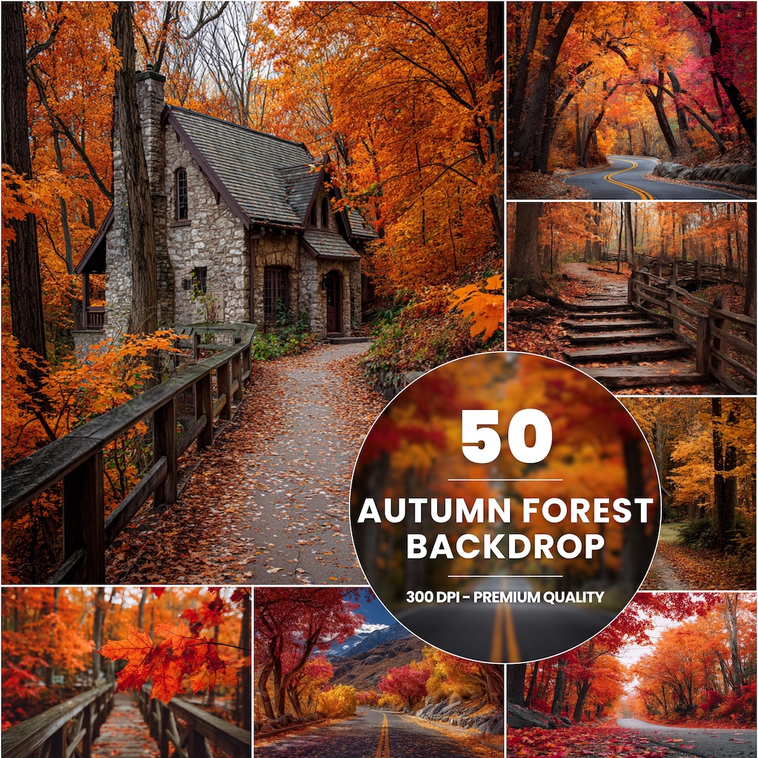 50 Autumn Forest Digital Backdrop: Nature Scenes (digital Download) - Etsy