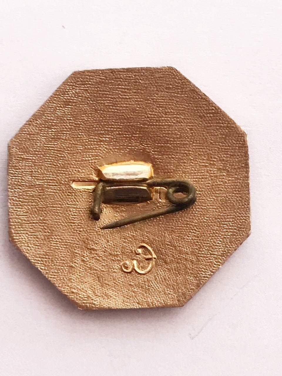 USSR Badge Population Census 1979. Participant of the Population Census ...