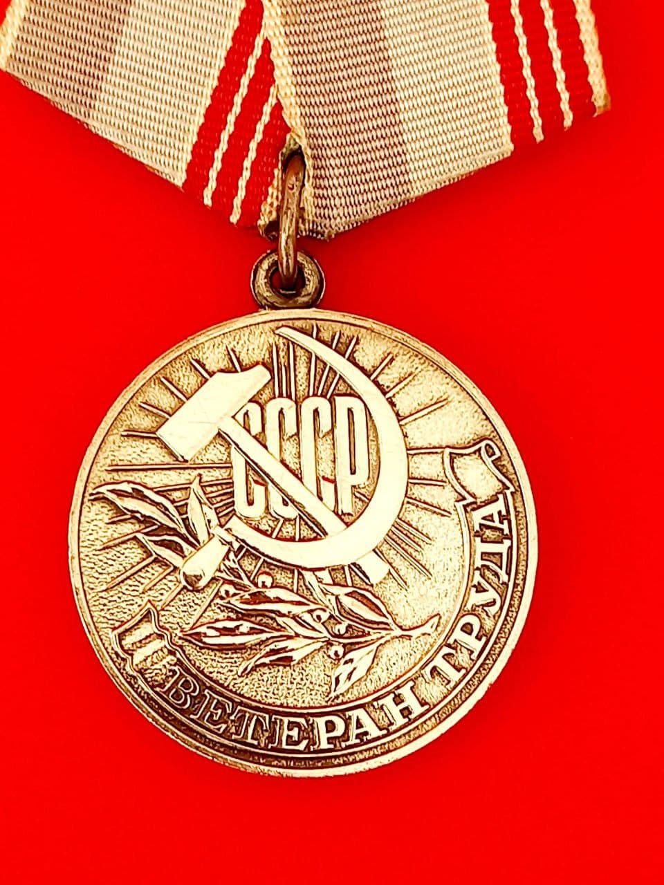 Communist Medal. Labor Reward. Hammer and Sickle . Soviet - Etsy