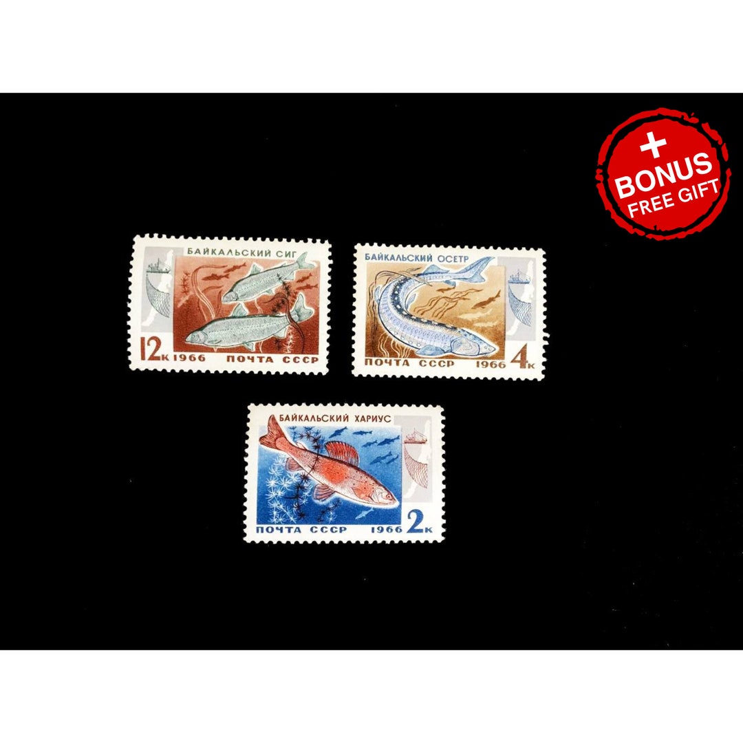 Vintage Postage Stamps: Rare Fish of Lake Baikal Series (1960s) - Etsy