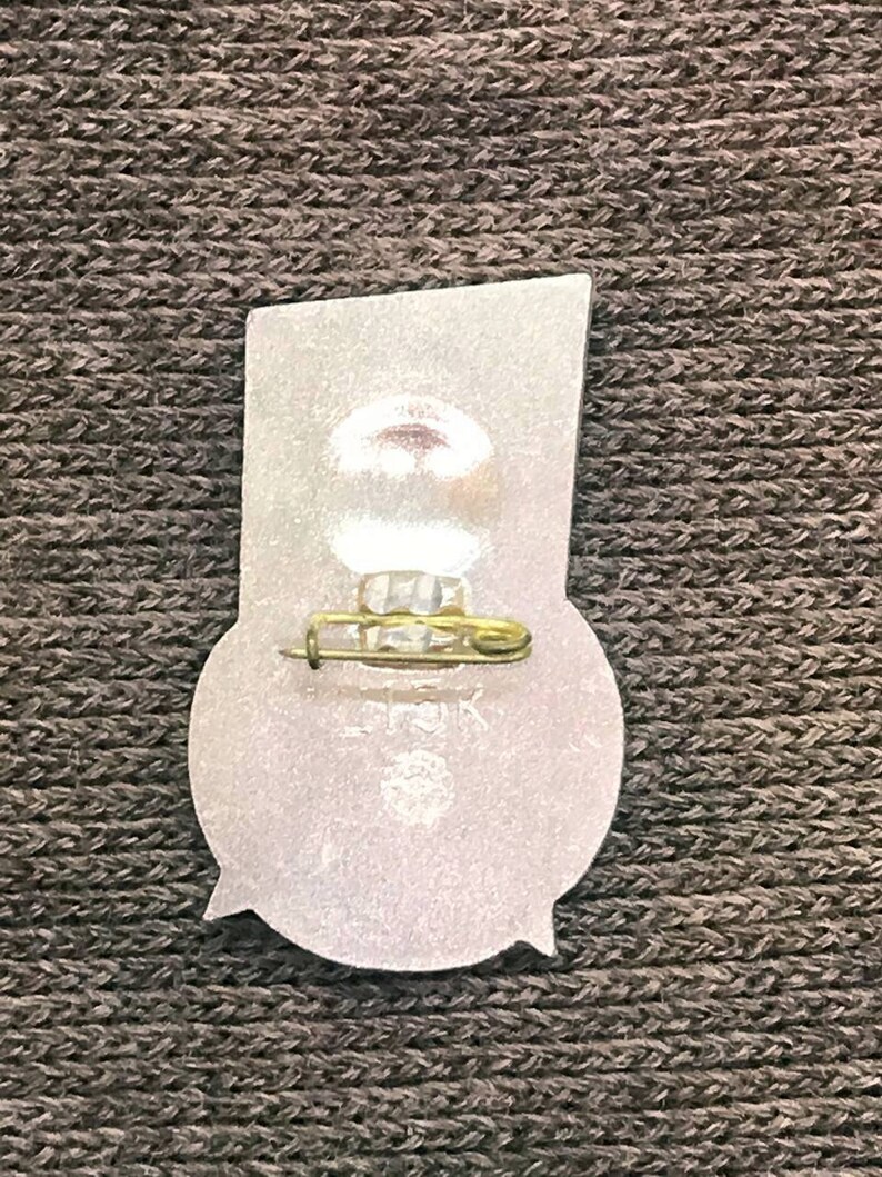 1976 Soviet Union Congress Commemorative Pin: Lenin Profile, Red Banner ...