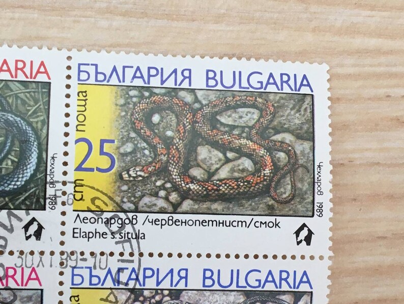 Bulgarian Stamps Sheet: Fascinating World of Snakes - Etsy
