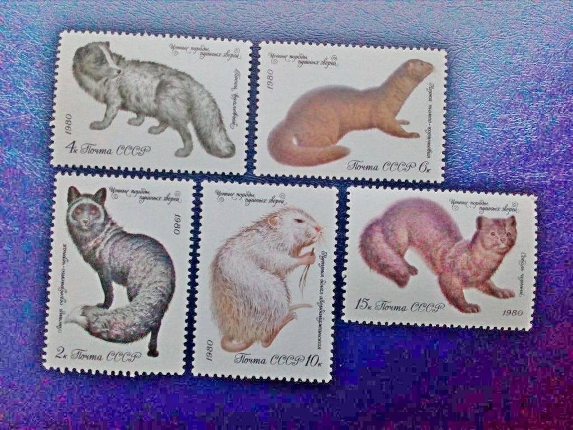 Postage Stamps USSR, 1980: Valuable Breeds of Fur-bearing Animals - Etsy