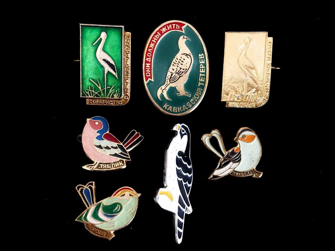 Soviet Birdwatcher's Delight - Set of 7 Vintage USSR Bird-themed Badges ...