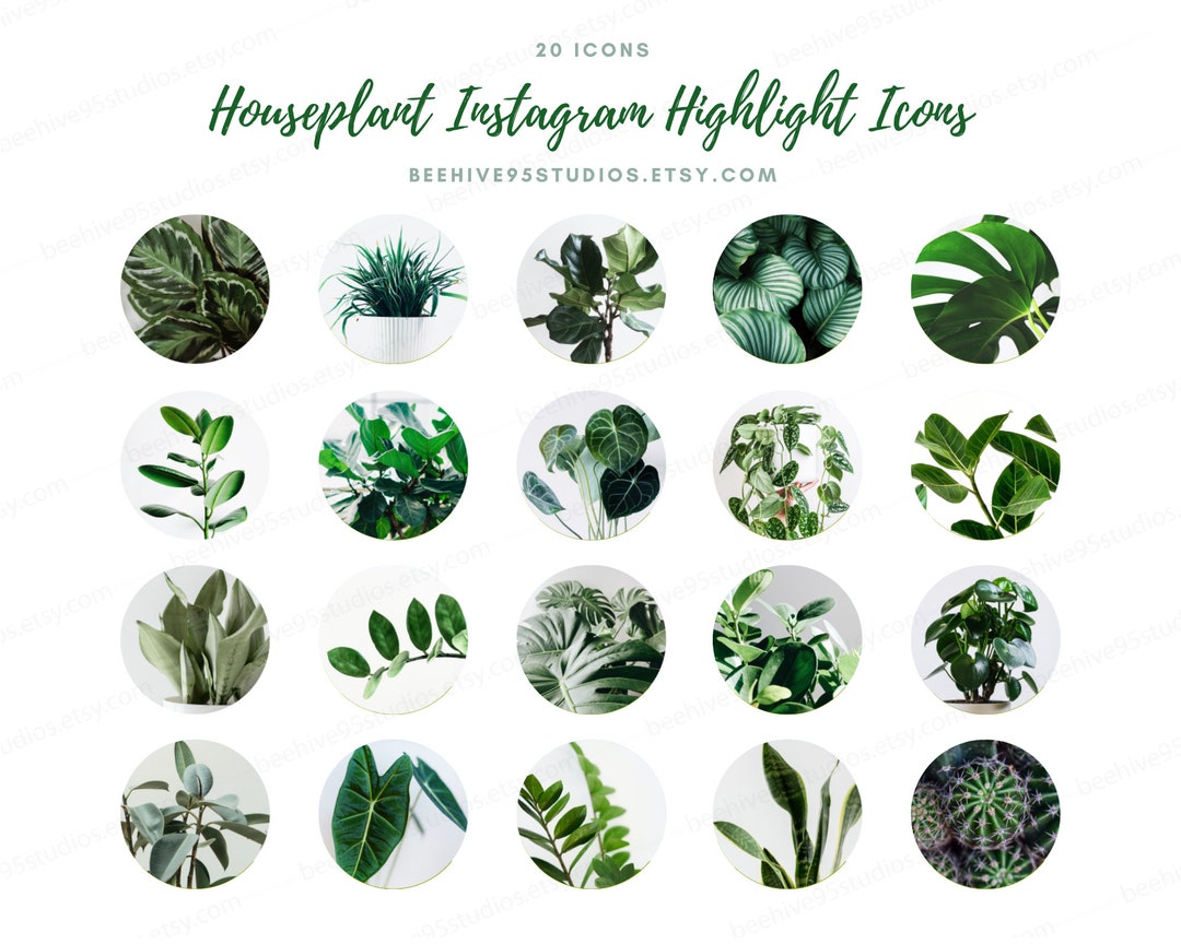 20 Houseplant Instagram Story Highlight Icons Social Media Influencer ...