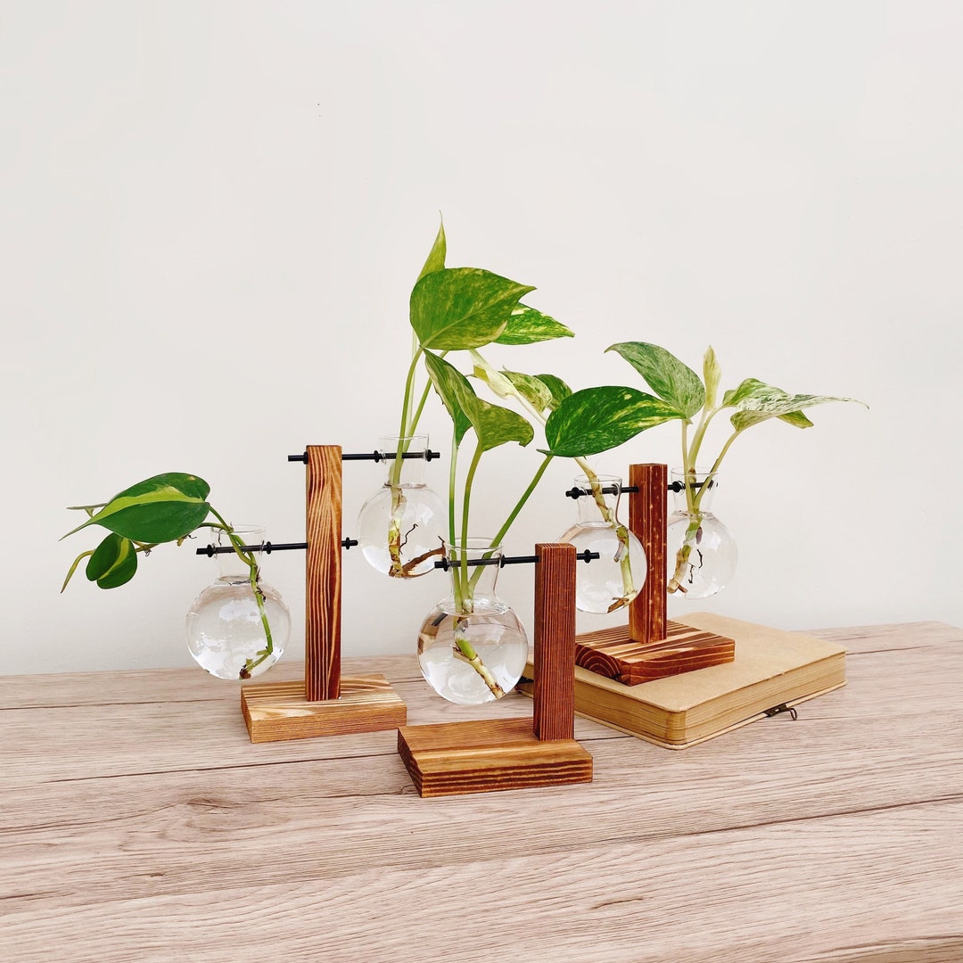 Plant Propagation Vase Gardening Planter Set Hydroponic Houseplant ...