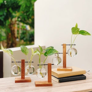 Plant Propagation Vase Gardening Planter Set Hydroponic - Etsy