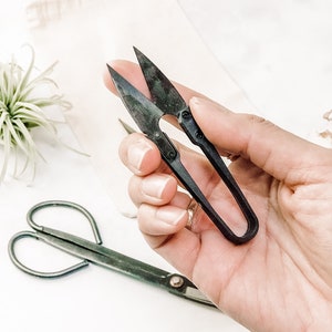 Garden Plant Tools Floral Scissor Shears Houseplant Pruner Hand ...
