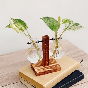 Plant Propagation Vase Gardening Planter Set Hydroponic Houseplant ...