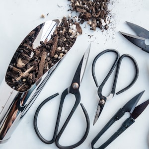 Garden Plant Tools Floral Scissor Shears Houseplant Pruner Hand ...