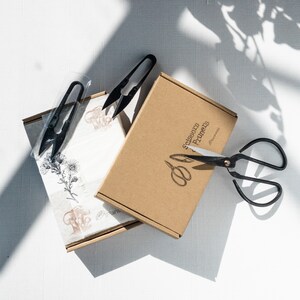 Garden Plant Tools Floral Scissor Shears Houseplant Pruner Hand ...