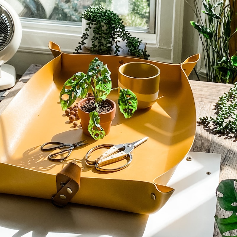 Plant Potting Accessories - Etsy