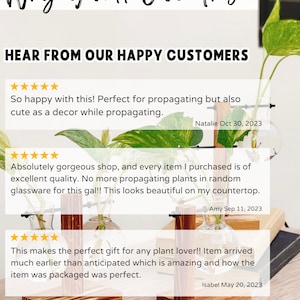 Plant Propagation Vase Gardening Planter Set Hydroponic Houseplant ...