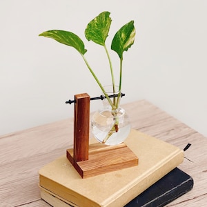 Plant Propagation Vase Gardening Planter Set Hydroponic Houseplant ...