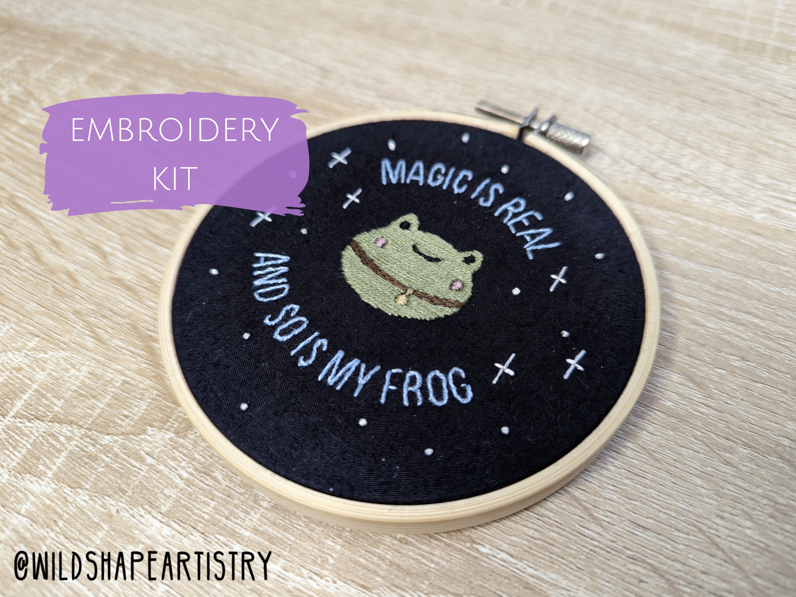 Boggy the Froggy Embroidery Kit Dimension 20 Fantasy High - Etsy