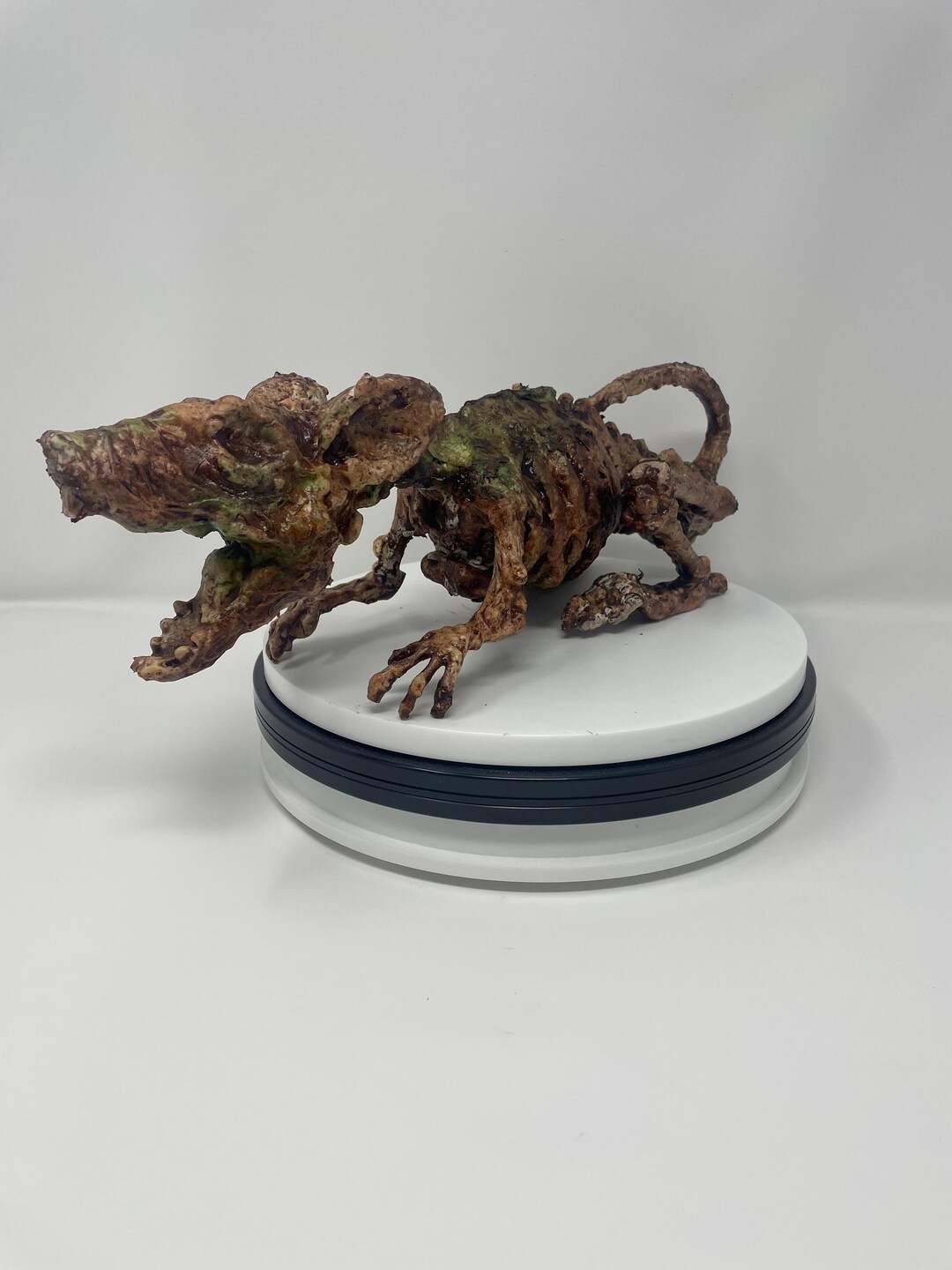 Zombie Decomposing Rat "b" Version - Etsy