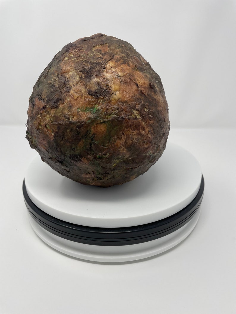 Decomposing Skull C - Etsy