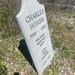 Charles Homer Large Tombstone - Etsy