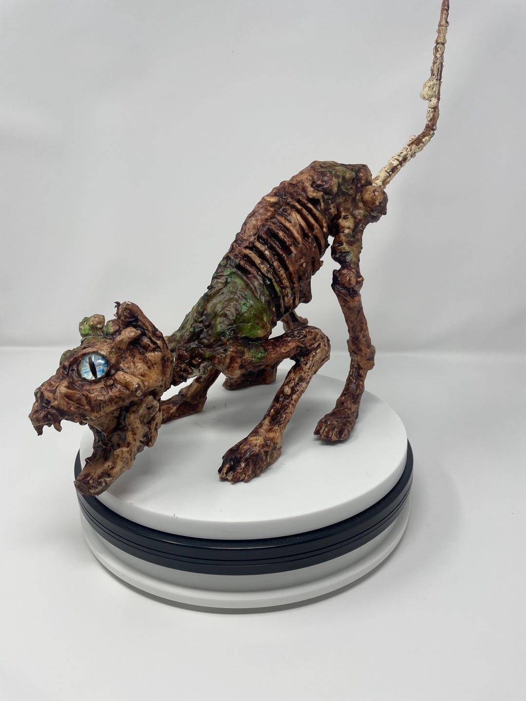 Zombie Decomposing Cat "c" Version - Etsy