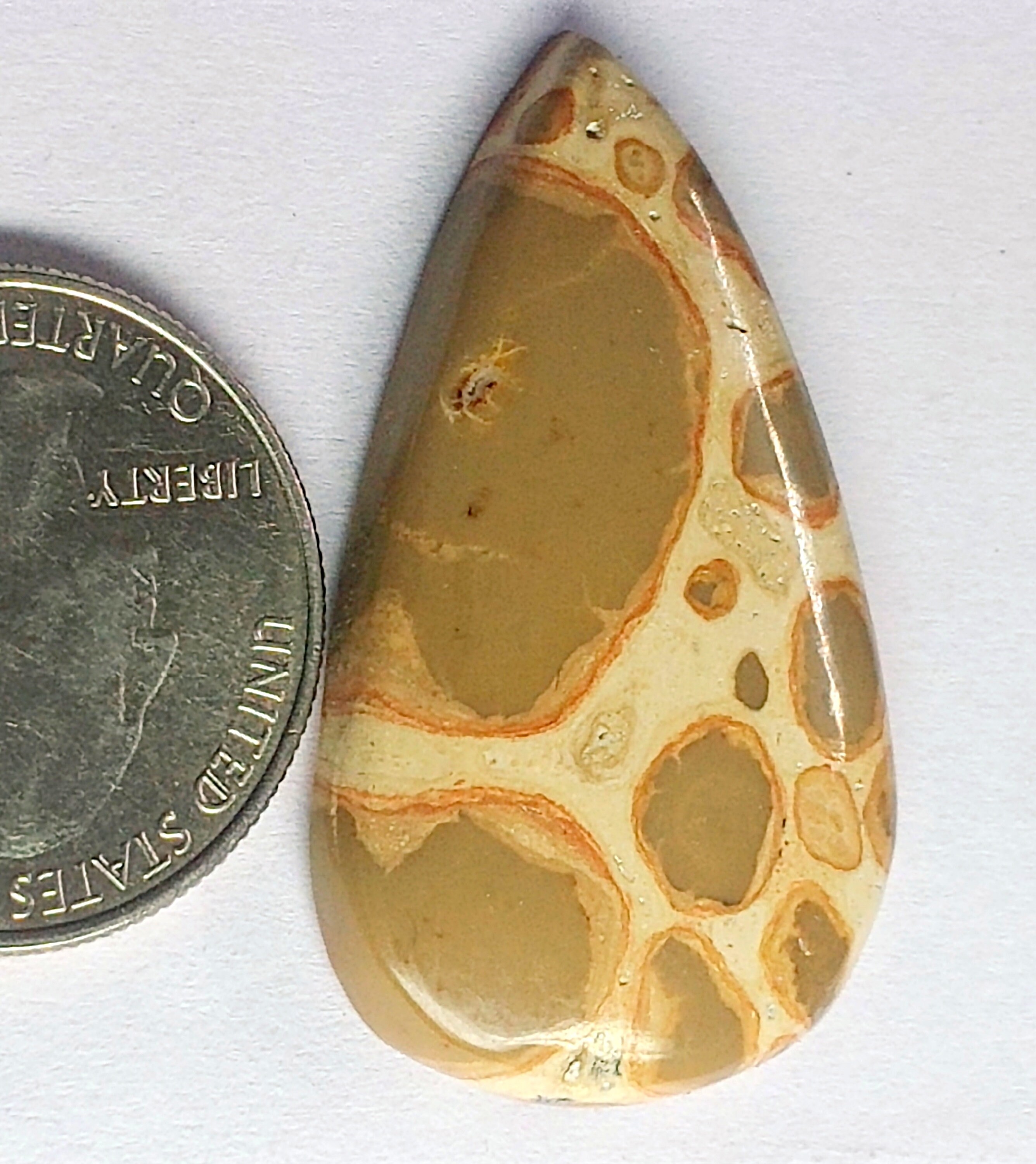 Natural Leopardite Jasper Oval Cabochon Leopard Skin Jasper | Etsy