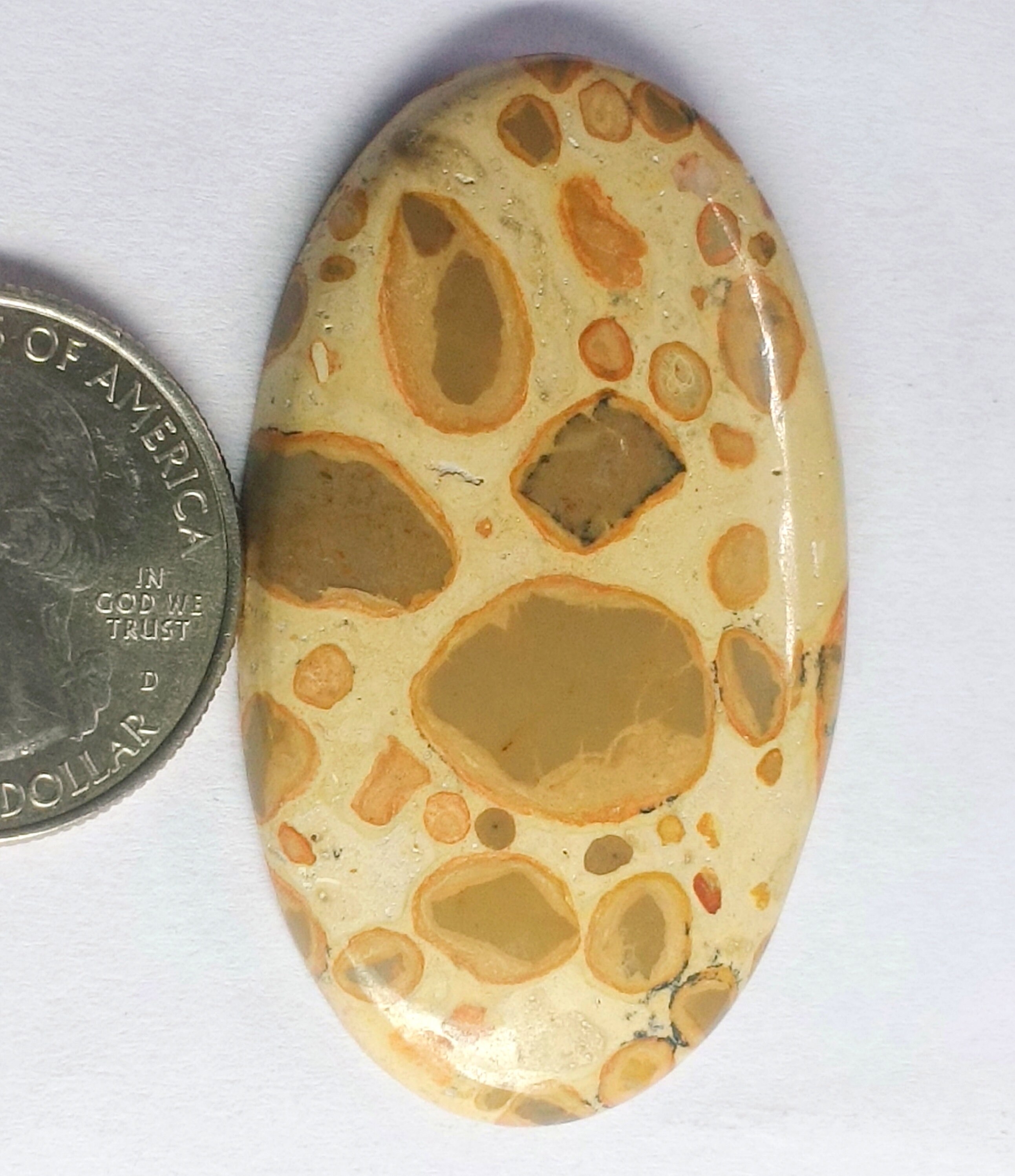Natural Leopardite Jasper Oval Cabochon Leopard Skin Jasper | Etsy