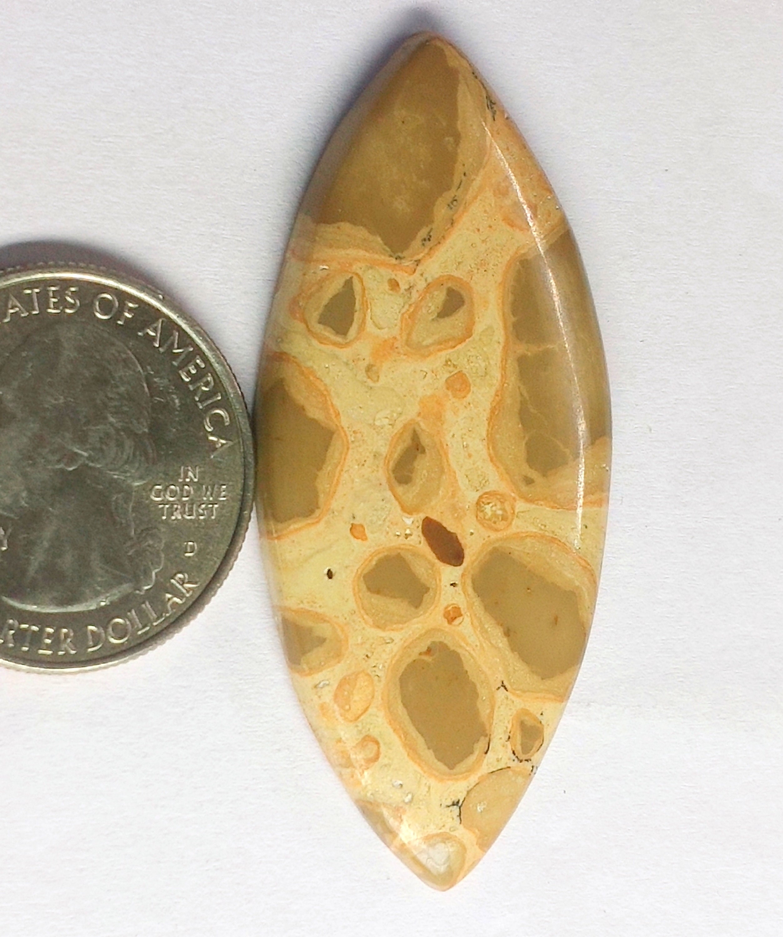 Natural Leopardite Jasper Oval Cabochon Leopard Skin Jasper | Etsy