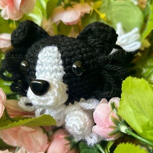 Border Collie Crochet Pattern - Etsy