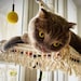 Cat Window Bed, Macrame Cat Window Hammock, Express Shipping , Cat ...