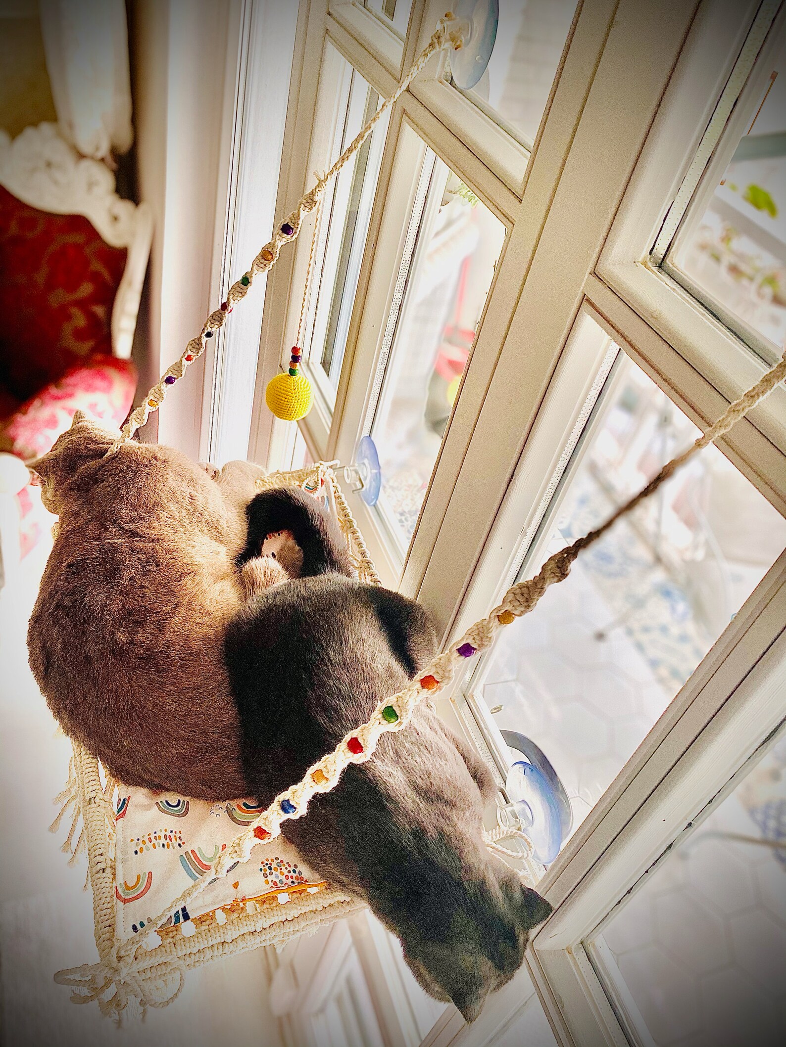 Cat Window Bed Macrame Cat Window Hammock Express Shipping - Etsy