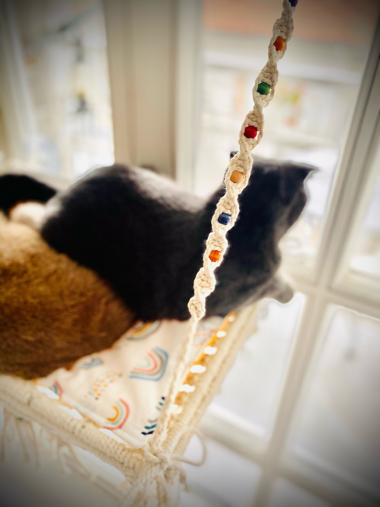 Cat Window Bed Macrame Cat Window Hammock Express Shipping - Etsy