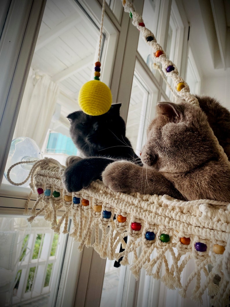 Cat Window Bed Macrame Cat Window Hammock Express Shipping - Etsy