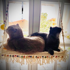 Cat Window Bed, Macrame Cat Window Hammock, Express Shipping , Cat ...