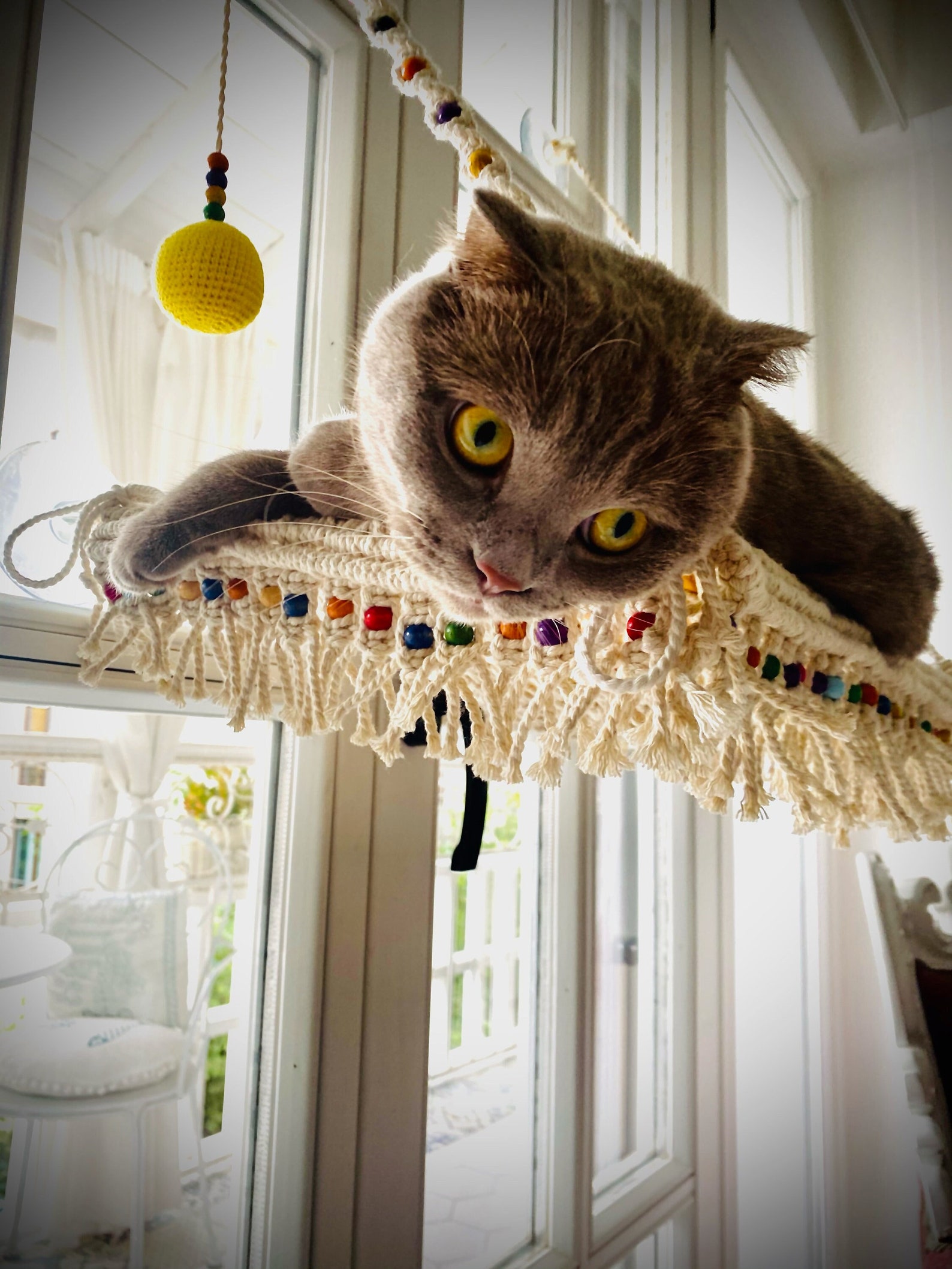 Cat Window Bed, Macrame Cat Window Hammock, Express Shipping , Cat ...