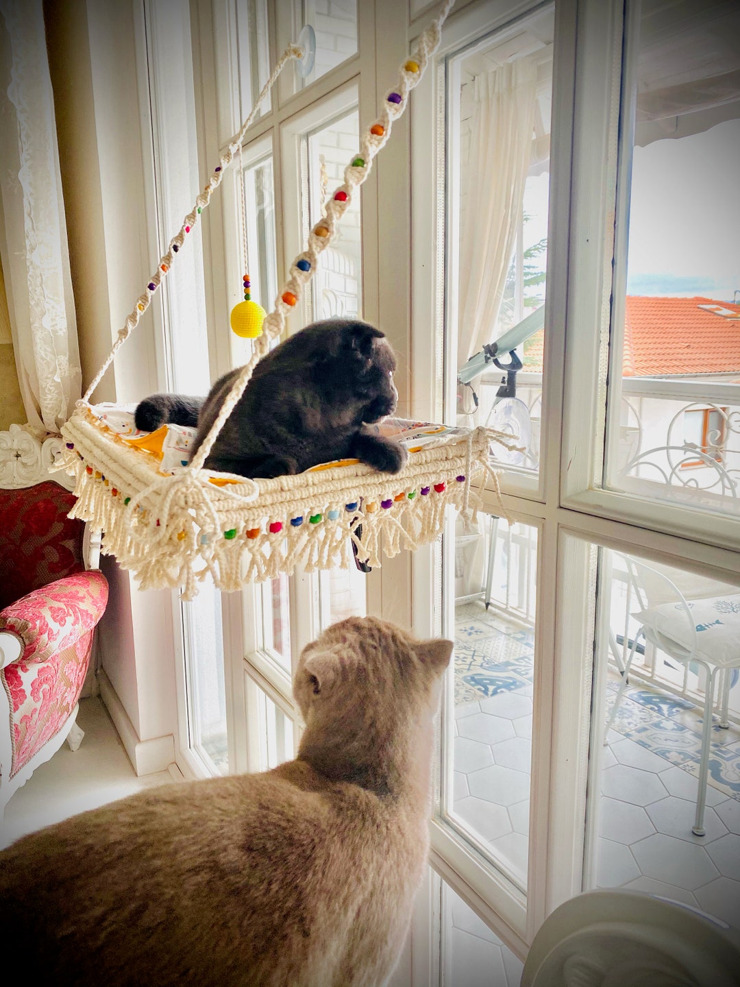 Cat Window Bed, Macrame Cat Window Hammock, Express Shipping , Cat ...