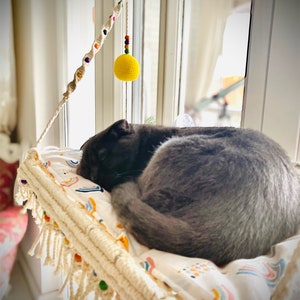 Cat Window Bed, Macrame Cat Window Hammock, Express Shipping , Cat ...