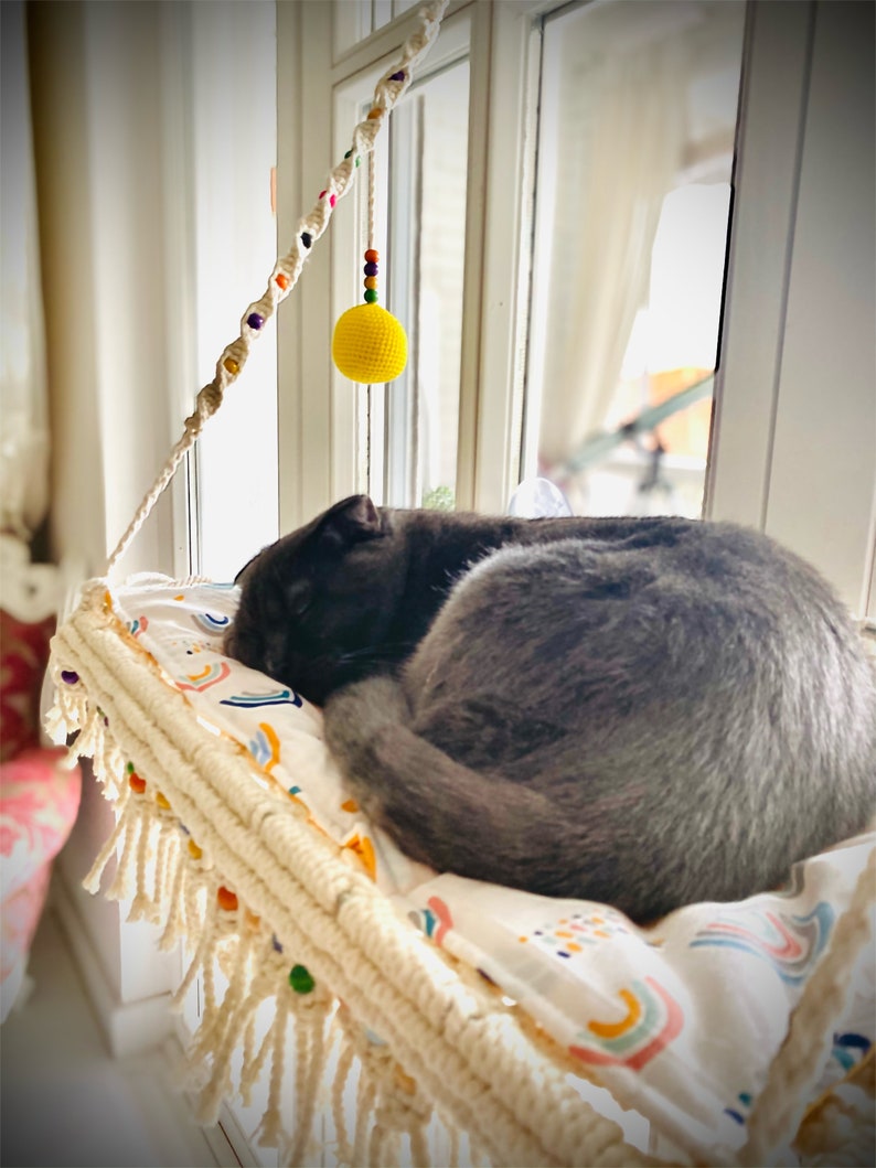 Cat Window Bed Macrame Cat Window Hammock Express Shipping - Etsy