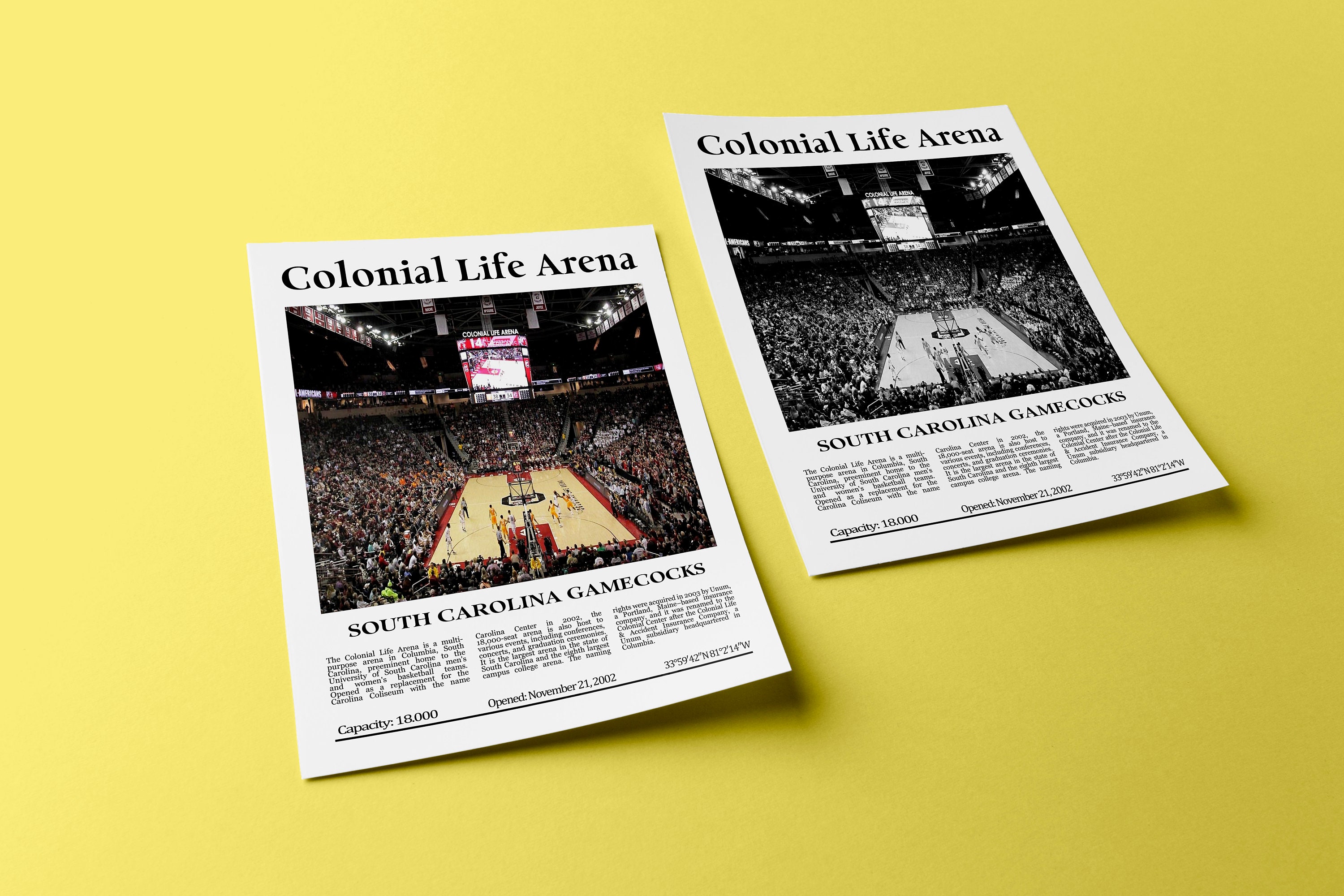 Colonial Life Arena Hockey