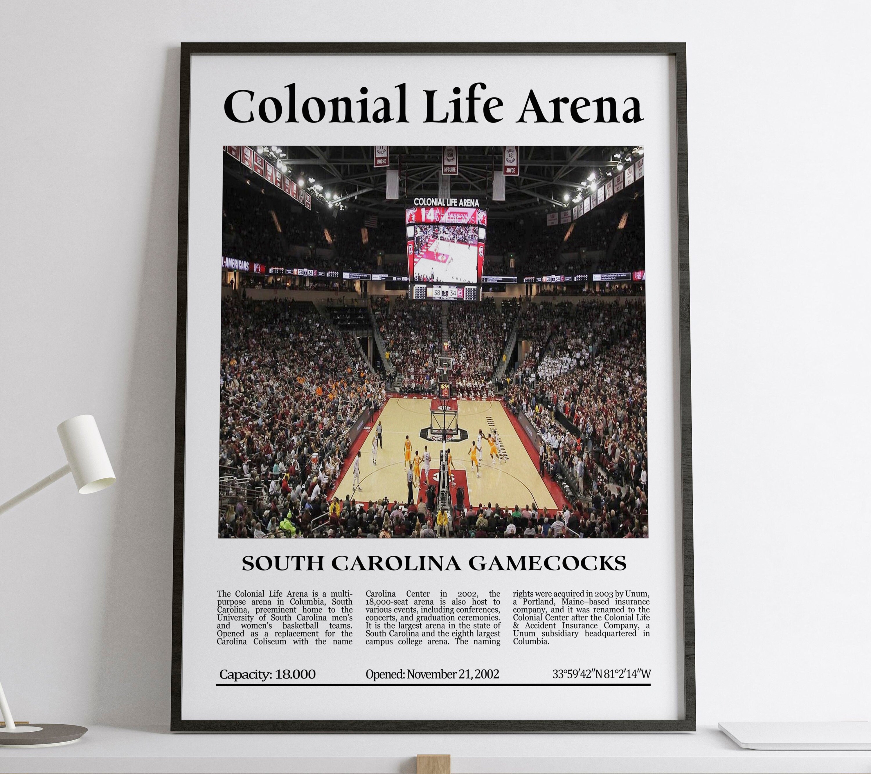 Colonial Life Arena Logo