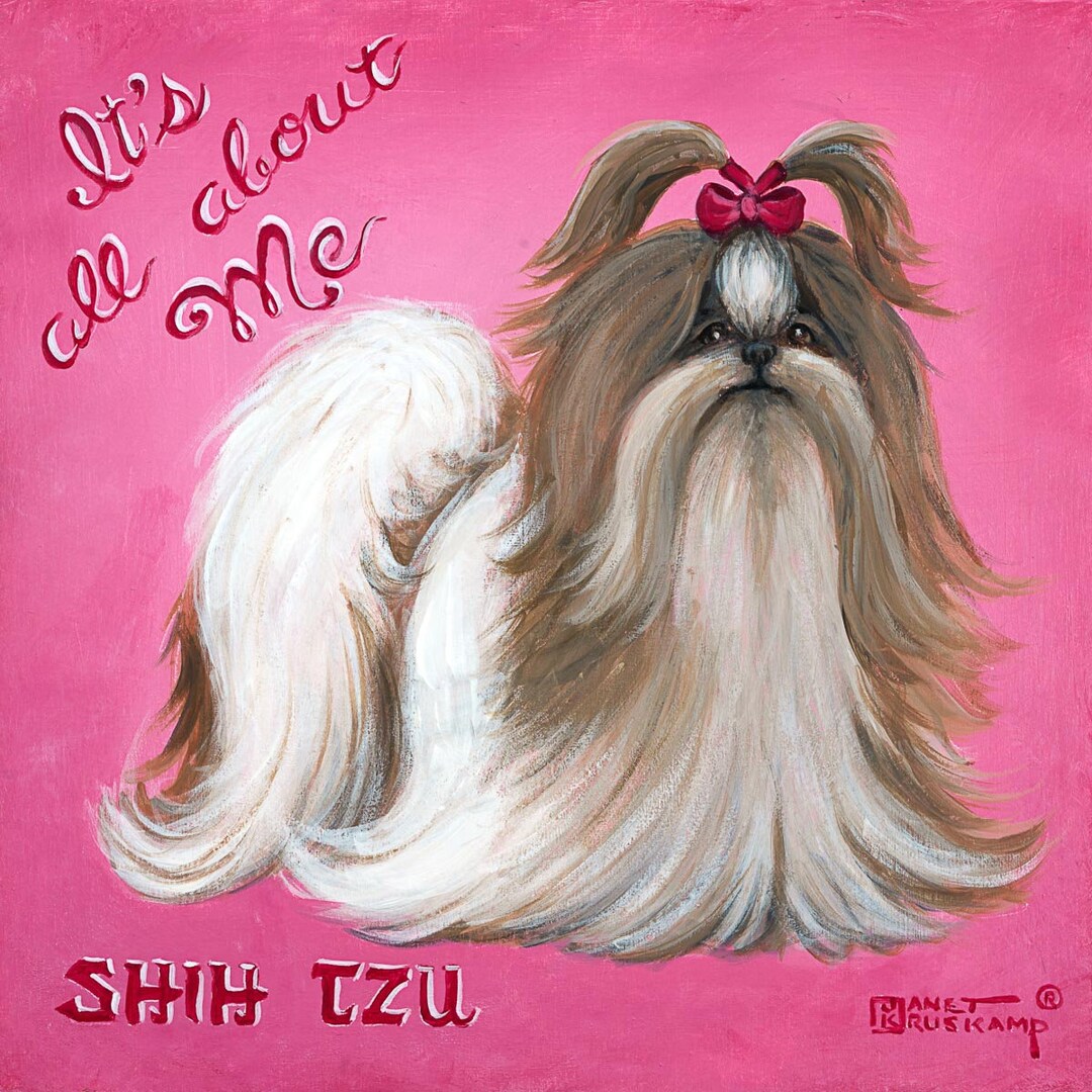 Janet Kruskamp It's All About Me Shih Tzu Dog Art as Stretched, Rolled ...