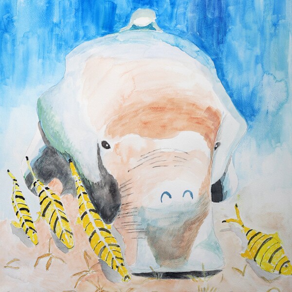 Dugong - Etsy