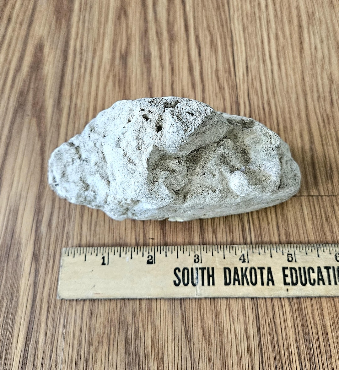 Limestone Chunk // Raw Limestone // Natural Minerals // Home and Office Decoration // Collection ...