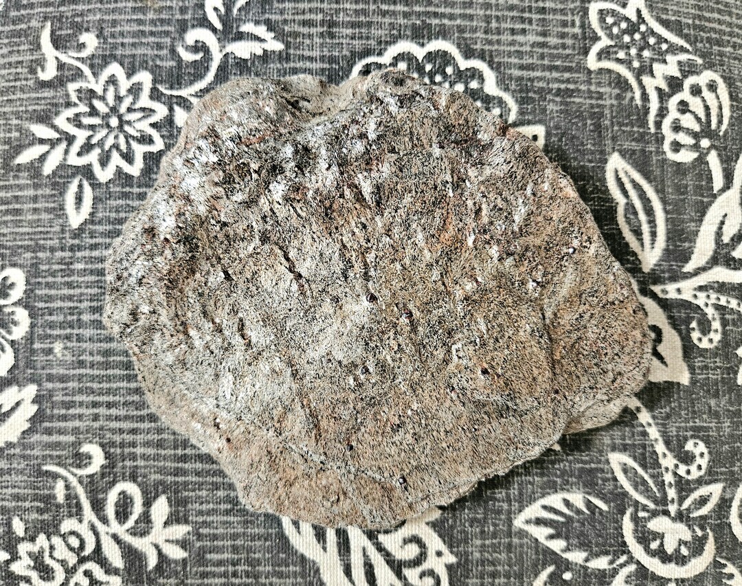 Raw Chunk of Mica Schist With Garnets // Metallic Mica Schist Schist ...