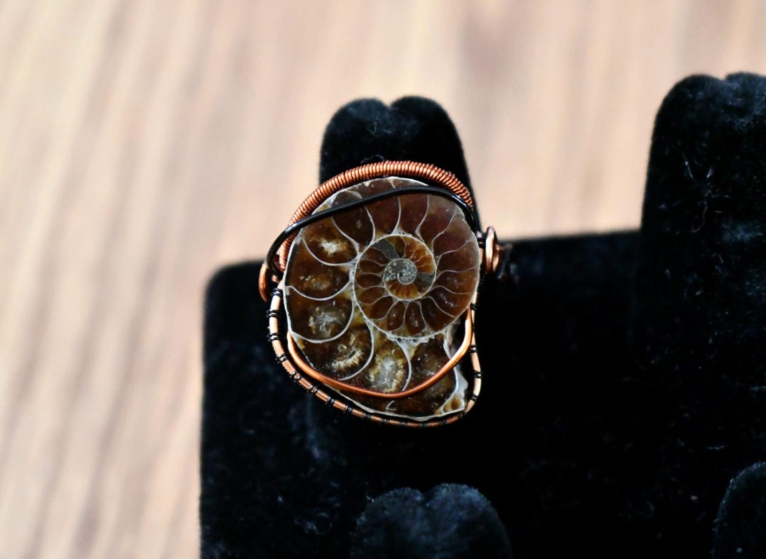 Wire Wrapped Ammonite Fossil Ring, Size 8 - Etsy