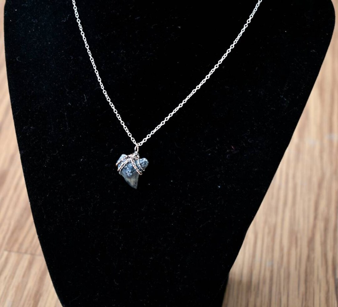Fossilized Shark Tooth Pendant Necklace, Wire Wrapped - Etsy