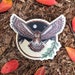 Flying Owl Vinyl Sticker - Etsy