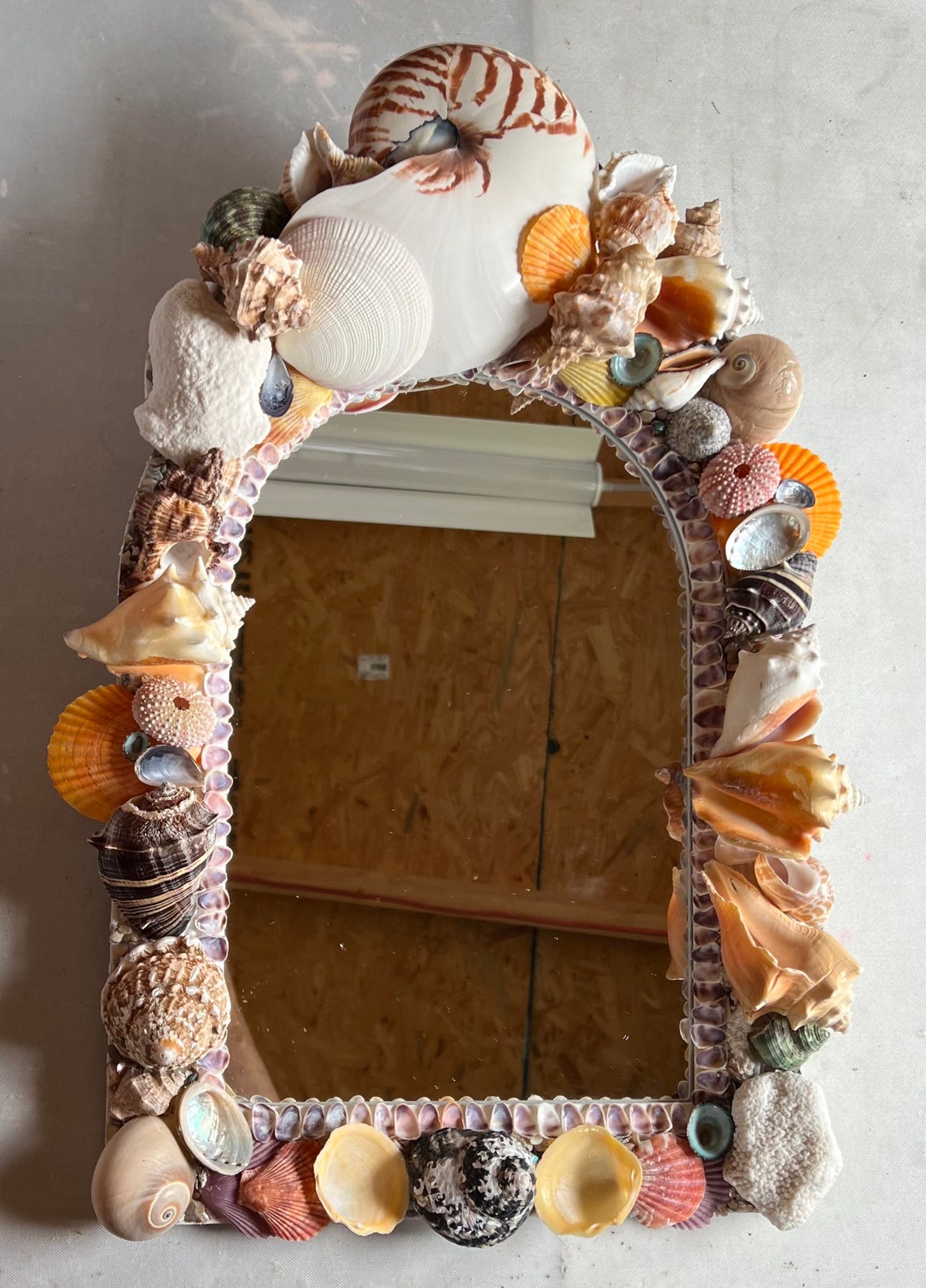 Arched Sea Shell Mirror, Mirror, Wall Mirror, Arched, Sea Shells ...