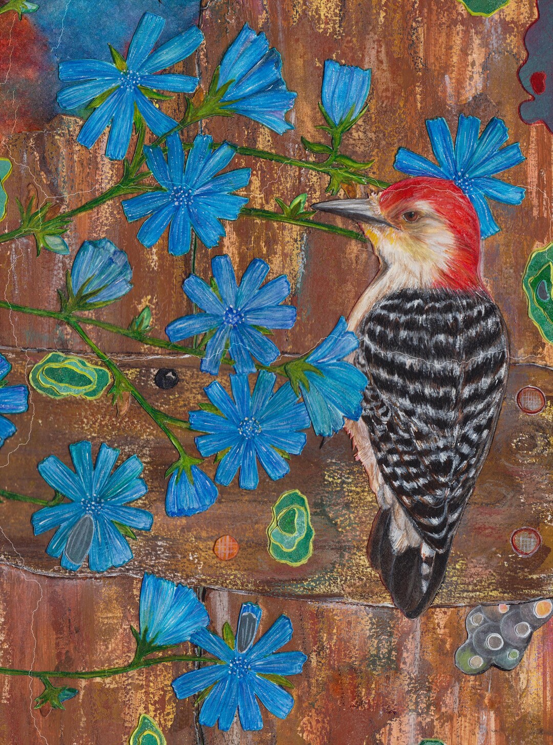 Red-bellied Woodpecker Art Print: Chicory Flowers, Whimsical Bird Art ...