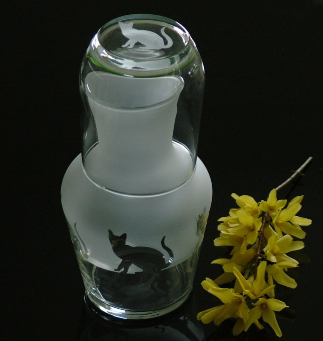Cat Water Carafe With Matching Engraved Glass Boxed - Etsy
