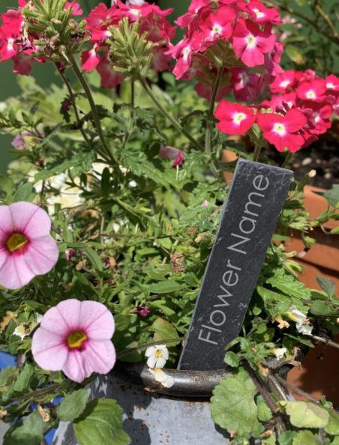 Flower and Plant Slate Marker - Personalised With Your Own Text - Etsy